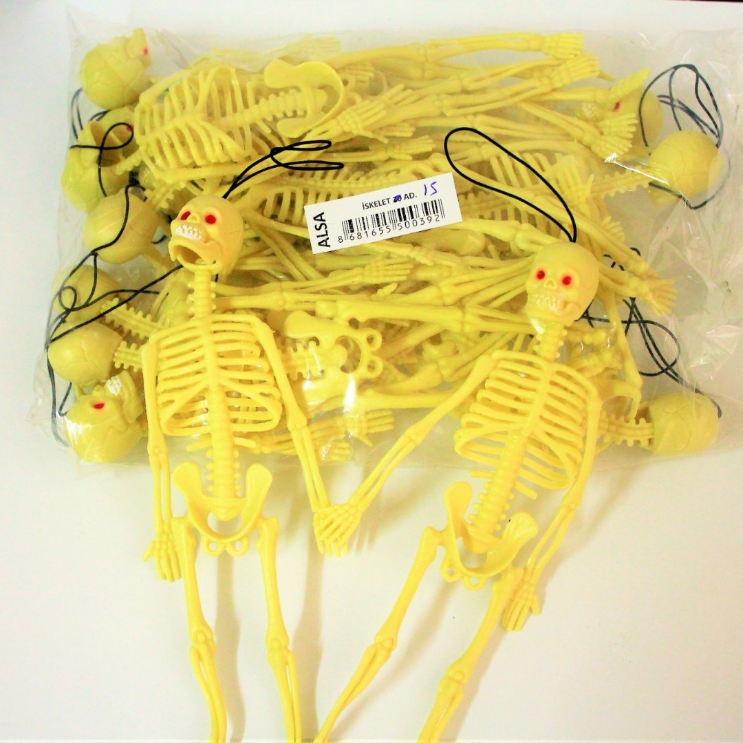 İskelet - ALSA İş Eğitim Malzemeleri